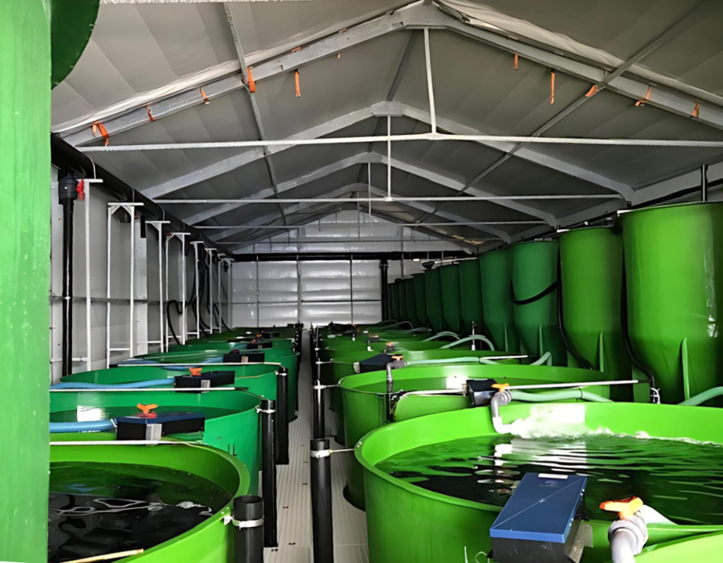 Landbasert oppdrett - NOR-DAN COMPOSITES A/S